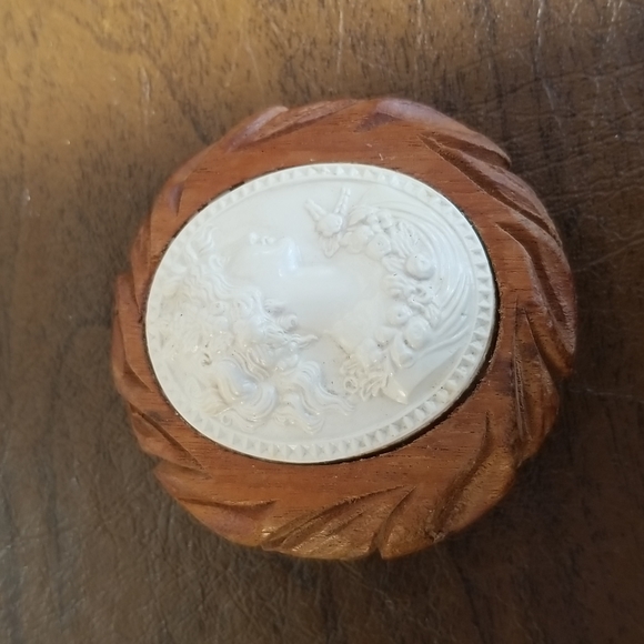 N/A | Jewelry | Vintage Celluloid Cameo And Carved Wood Brooch | Poshmark